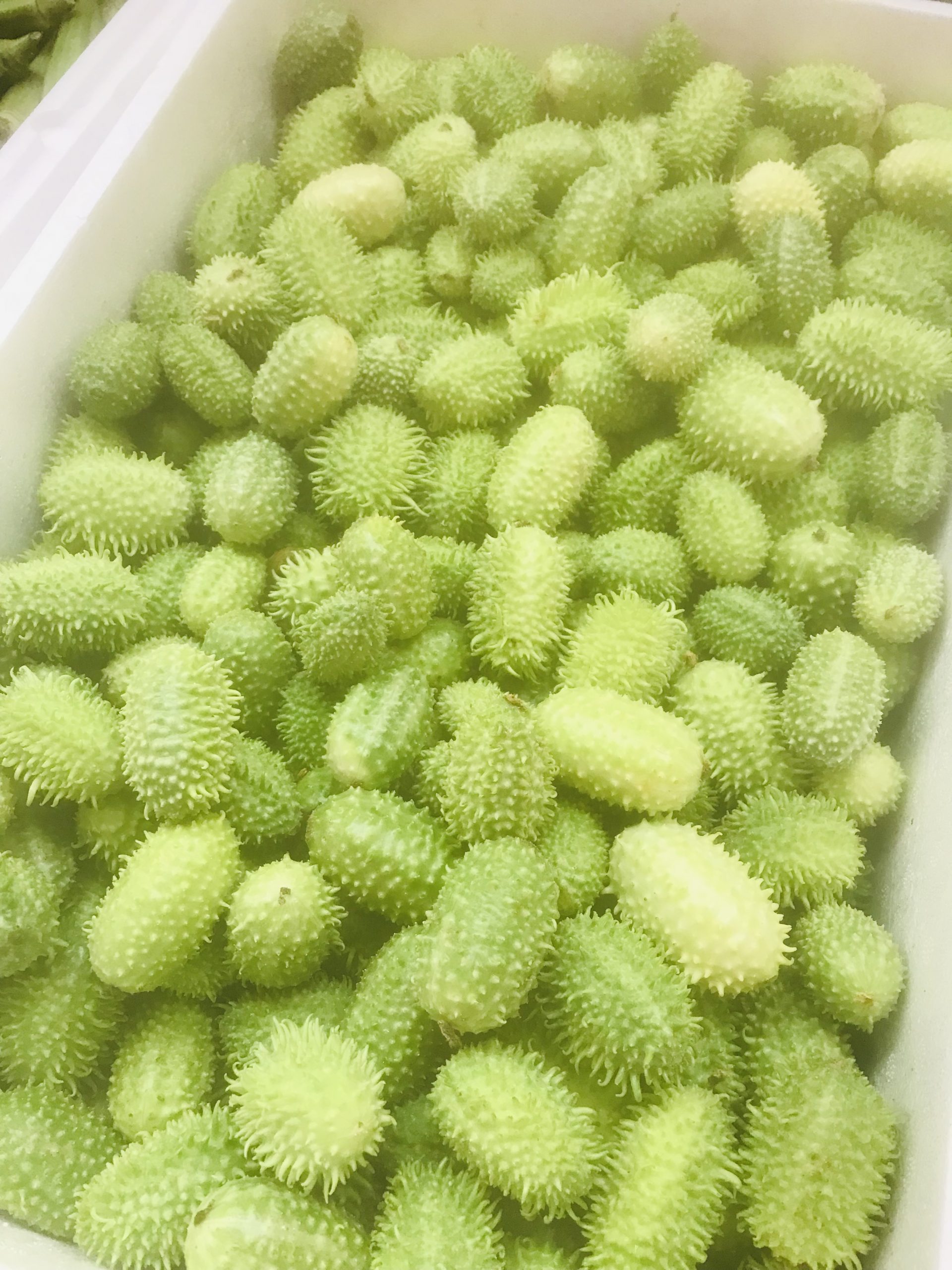 Maxixe 500g - Produtos do Brazil